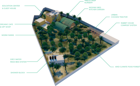 Greening The Desert Project | Permaculture Sustainable Consulting